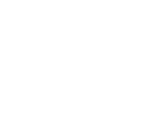 Paptic Tringa® - A Premium Plastic Free Material