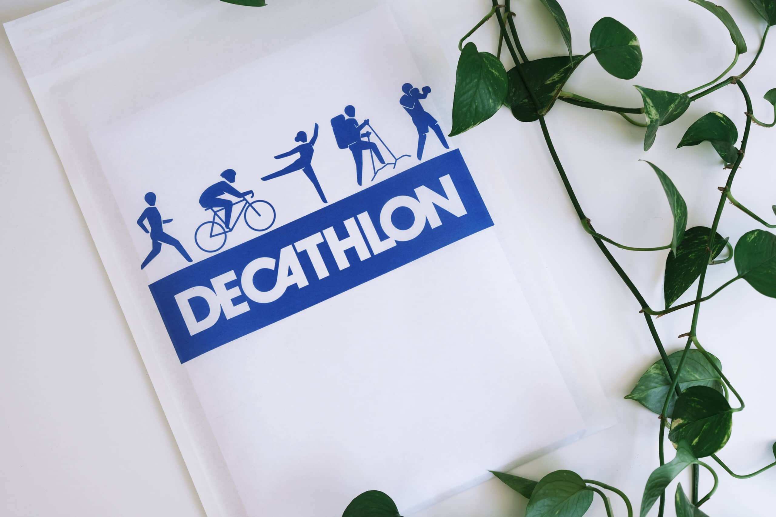 Sustainable E-Commerce Mailers - Paptic