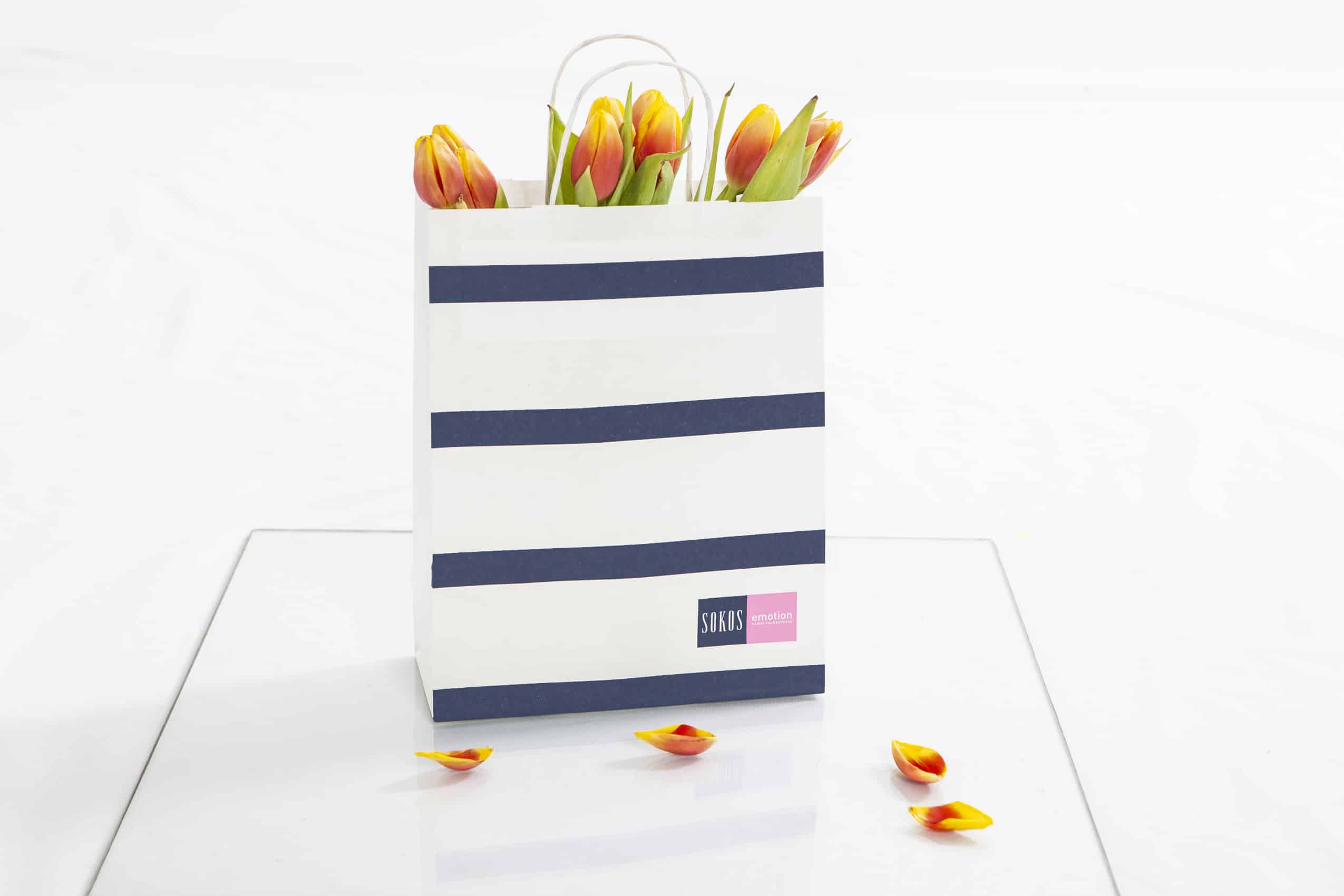 Carrier Bags - Sustainable & Reusable Bags - Paptic