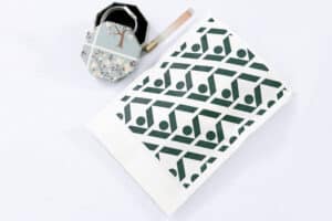 Paptic® - The Sustainable Alternative for Plastics in Packaging