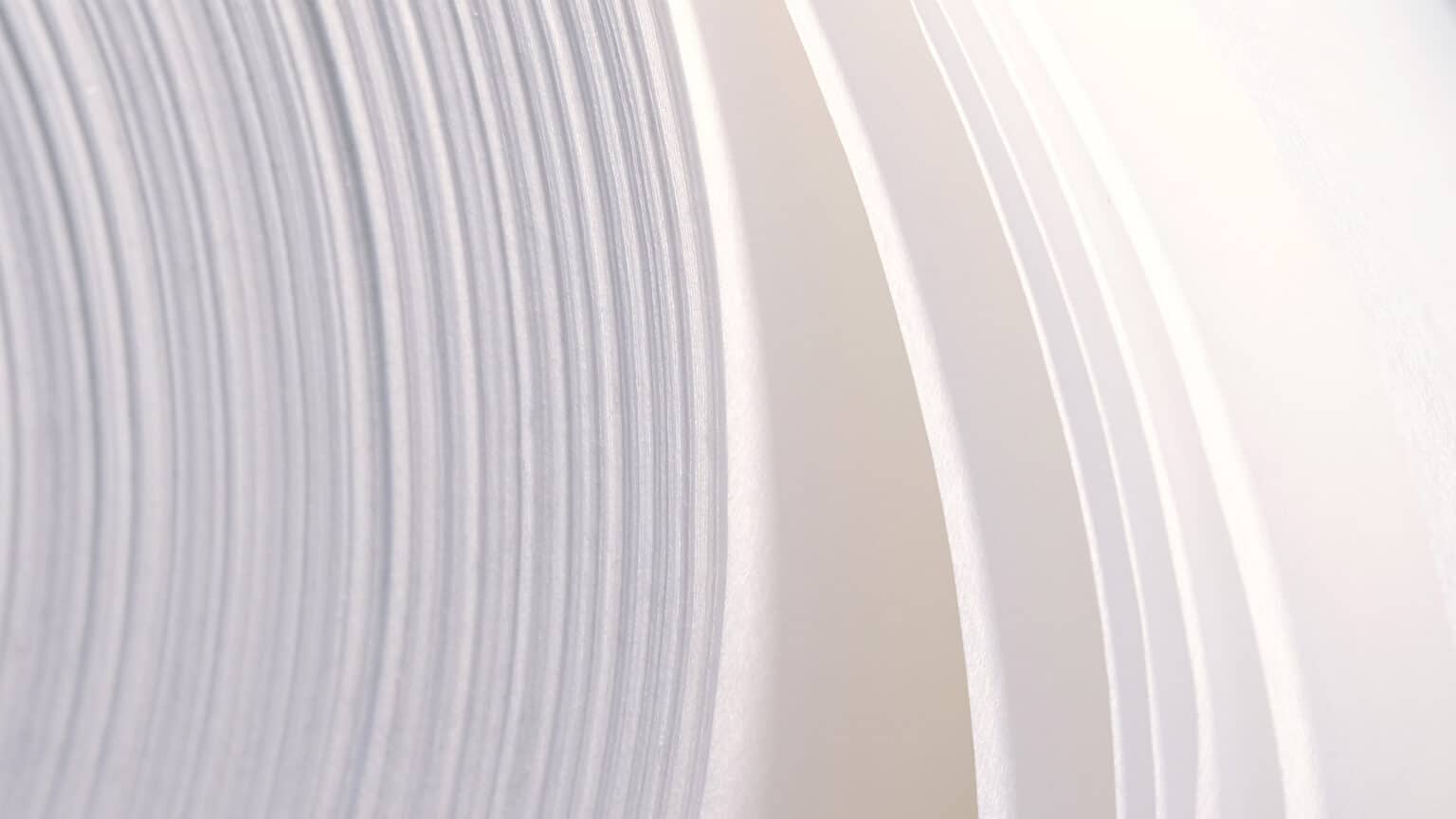 Paptic increases its production capacity to strengthen the material ...